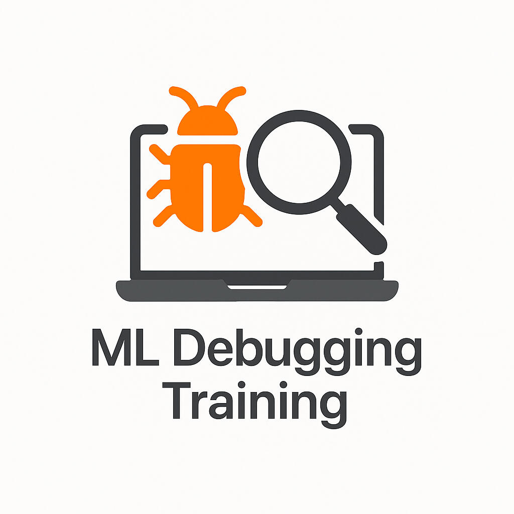 The ML Debugging Training